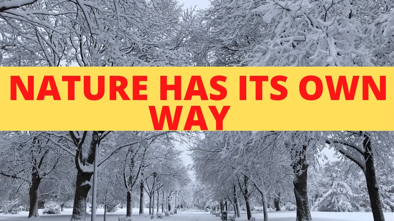 #Snowfall #Nature II NATURE HAS ITS OWN WAY II Nature is full of ...