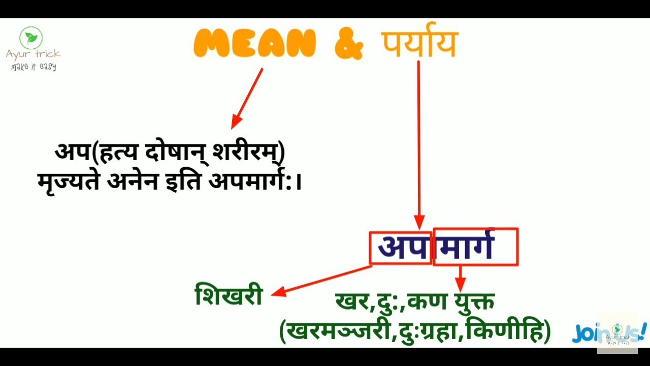 अपामार्ग(apamarg)/Prickly chaff flower/Achyranthes aspera easy to ...