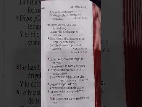 SALMOS CAPITULO 8 COMPLETO. Dios te bendiga, te invito a suscribirte a mi canal. #salmo8 #fe