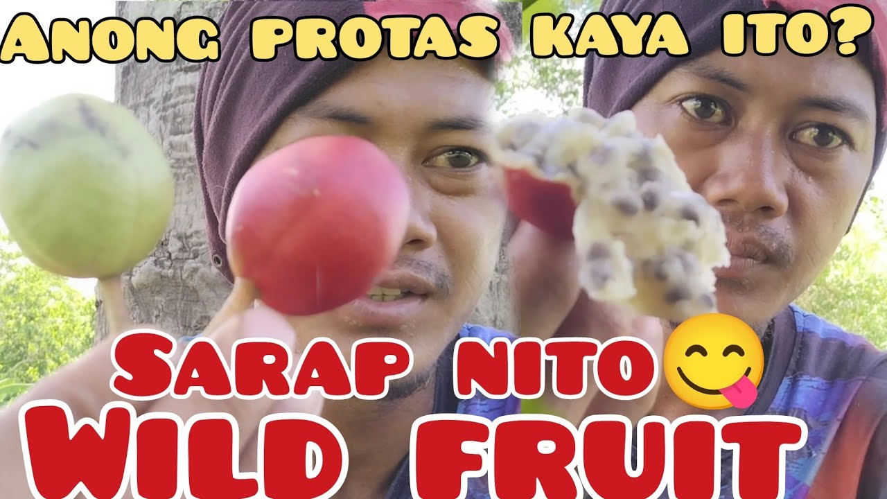 WILD FRUIT ,alam nyoba pangalan Ng PRUTAS nato? - YouTube