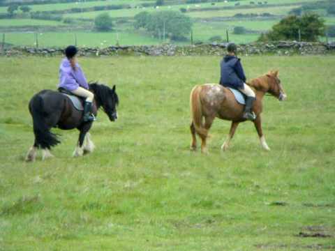Riding and galloping/cantering on Bodmin Moor - YouTube