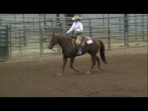 Texas Foundation Quarter Horse show - YouTube