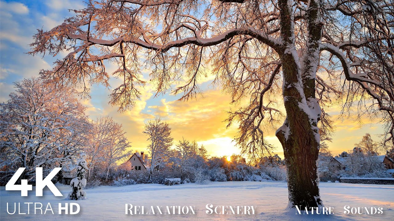 Beautiful Relaxing Hymns, Peaceful Instrumental Music, "winter forests ...