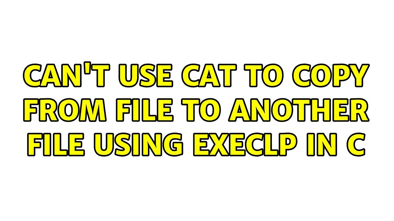 Ubuntu: Can't use cat to copy from file to another file using execlp in ...
