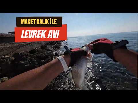 LEVREK AVI MERSİN / Lrf / Spin / Atçek Yöntemi ile Balık Avı