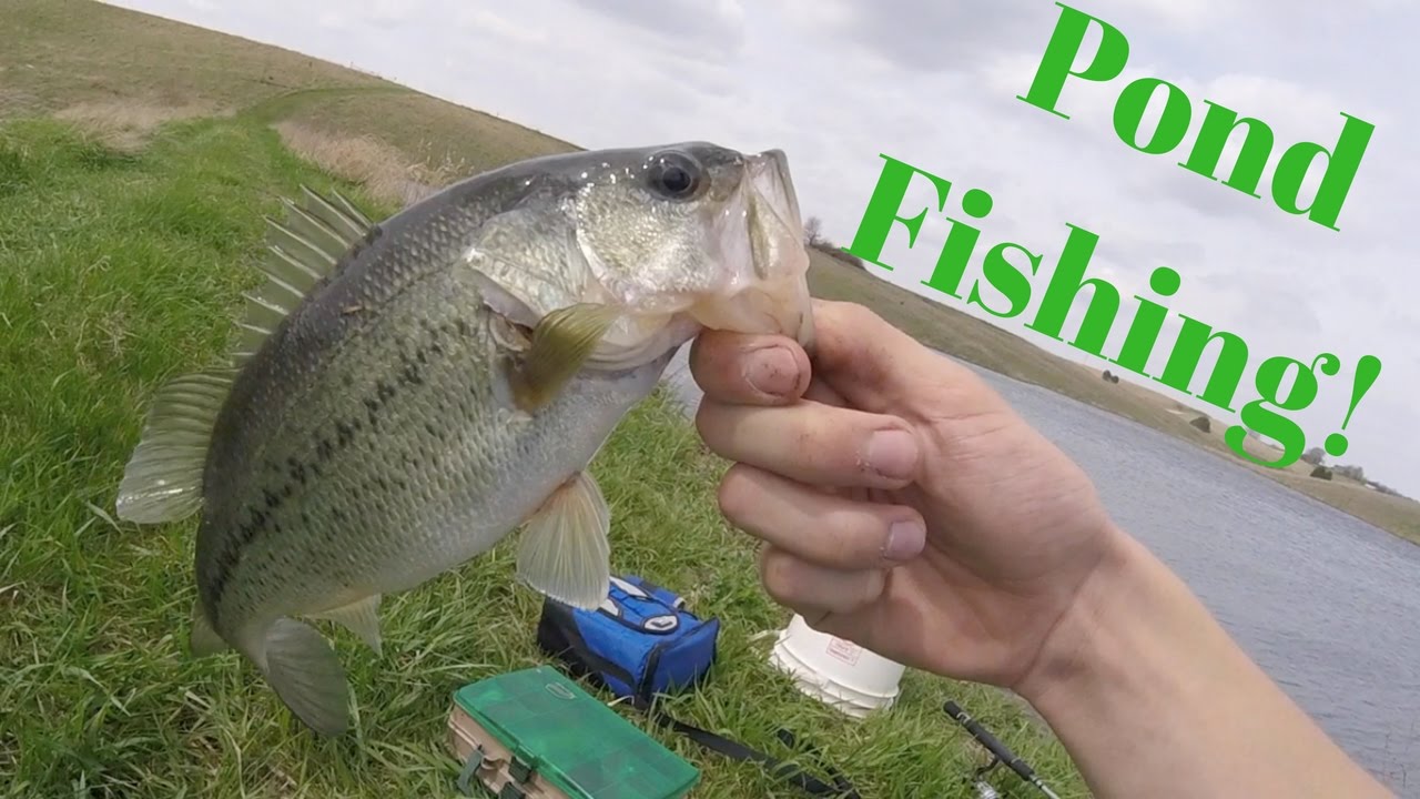 Windy Pond Fishing in Iowa (Bass & Panfish) - YouTube