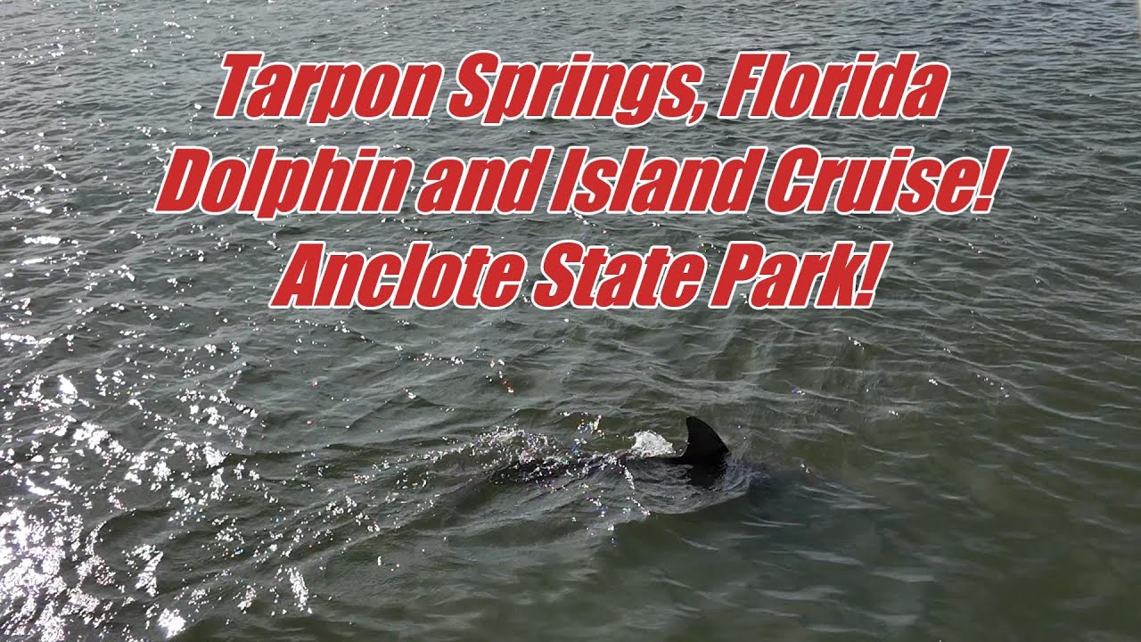 Tarpon Springs - Anclote Key State Park Dolphin Cruise and Island Tour ...