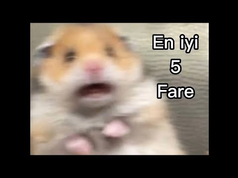 En iyi 5 Fare