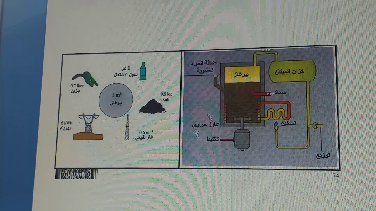 l'utilisation de la matiere organique et inorganique: la production du ...