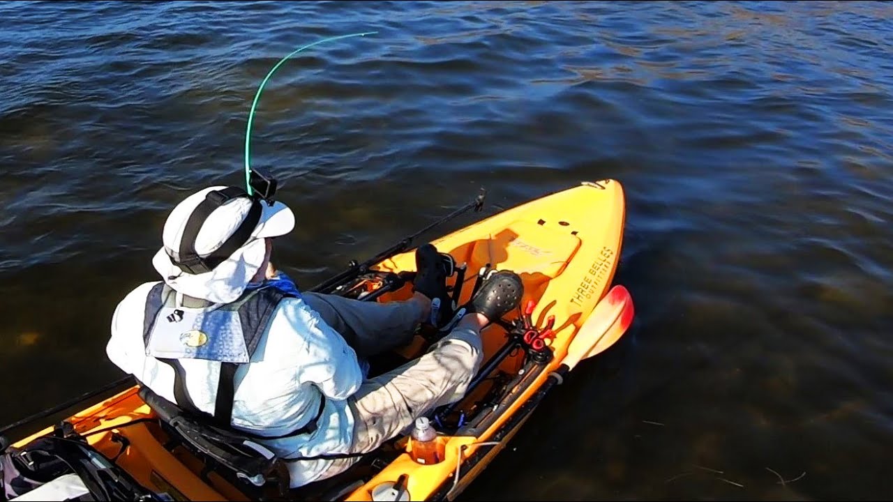 Fishing Hotspot, 7 Species, and a Catch I Never Expected! - YouTube