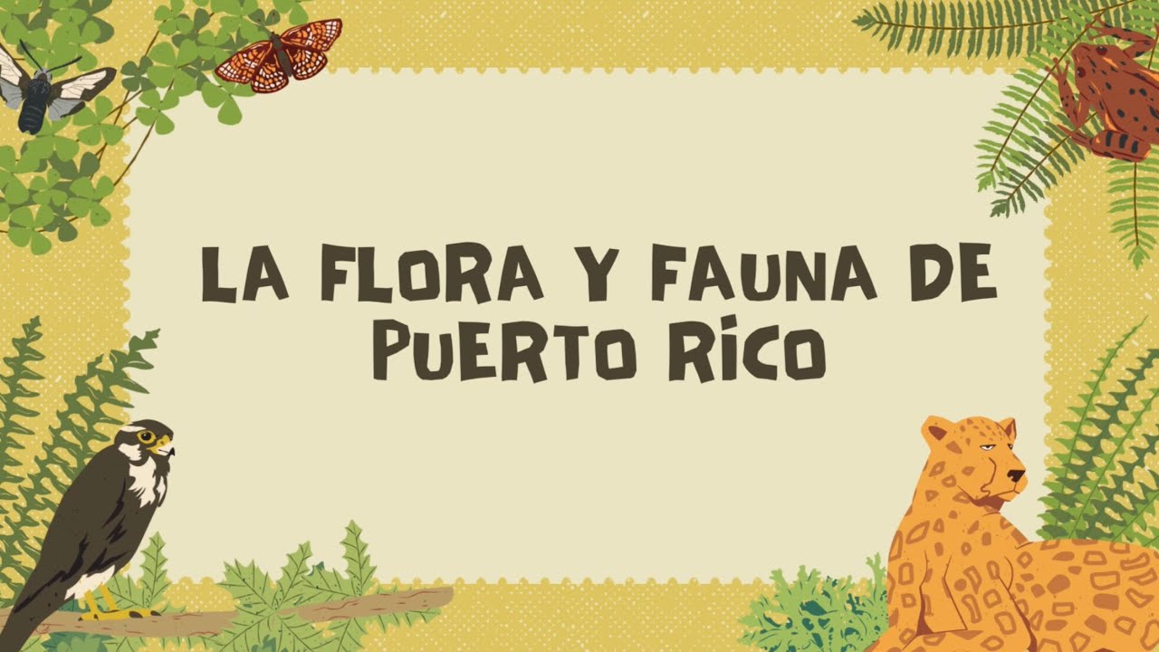 Descubre la Flora y Fauna de Puerto Rico | Video Educativo para ...