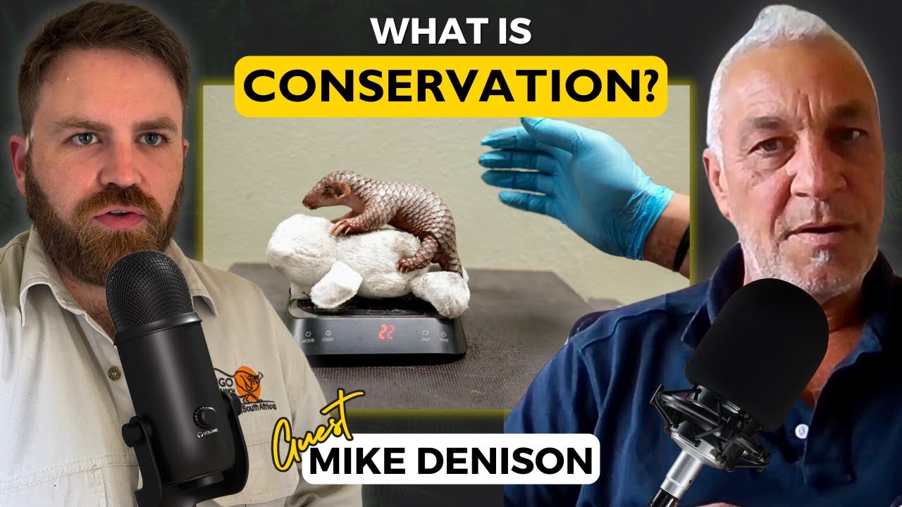 What is Conservation? The Truth About Saving Nature with WESSA's Mike ...