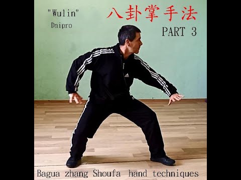 Bagua zhang Shou fa hand techniques PART 3 Wulin Dnipro 八卦掌手法 - YouTube