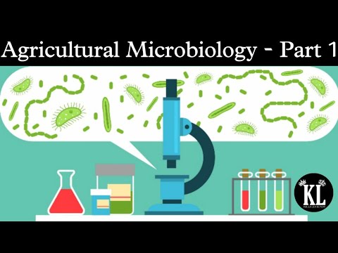 AGM 301 | Agricultural Microbiology Part 1 | Killilegends Agri UG ...