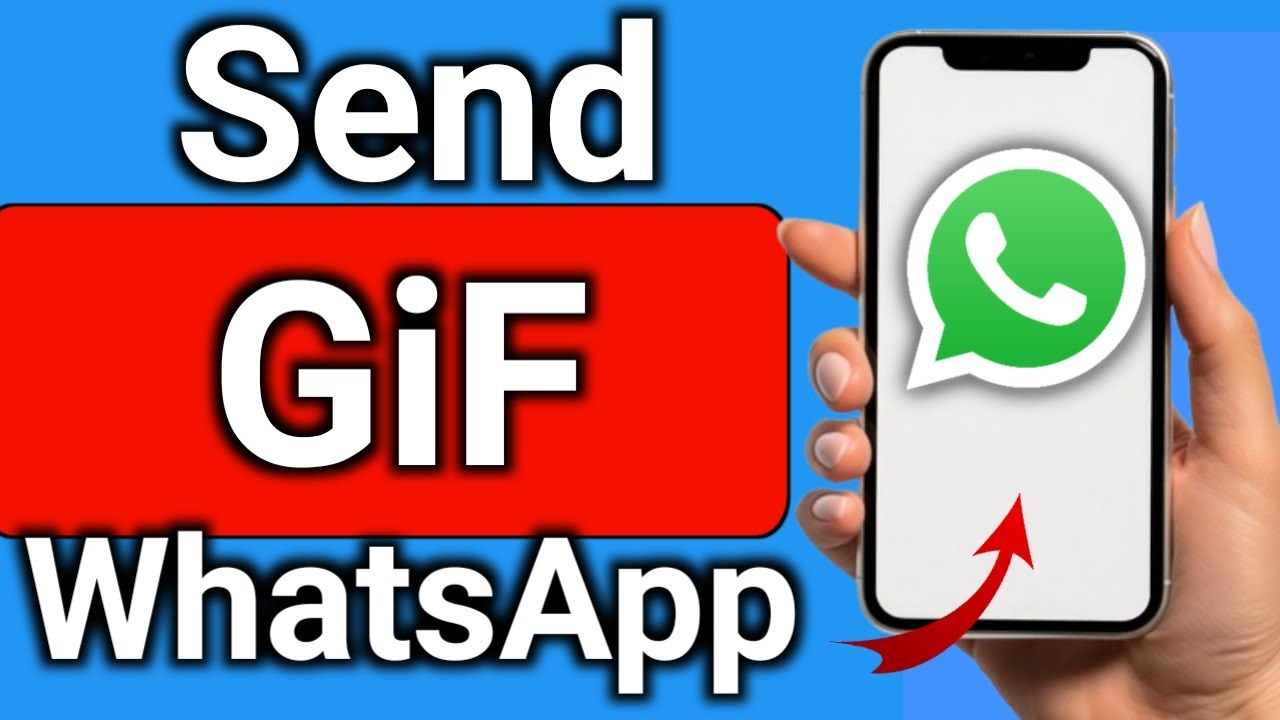 How to send GIF on WhatsApp Step by Step Full Guide - YouTube