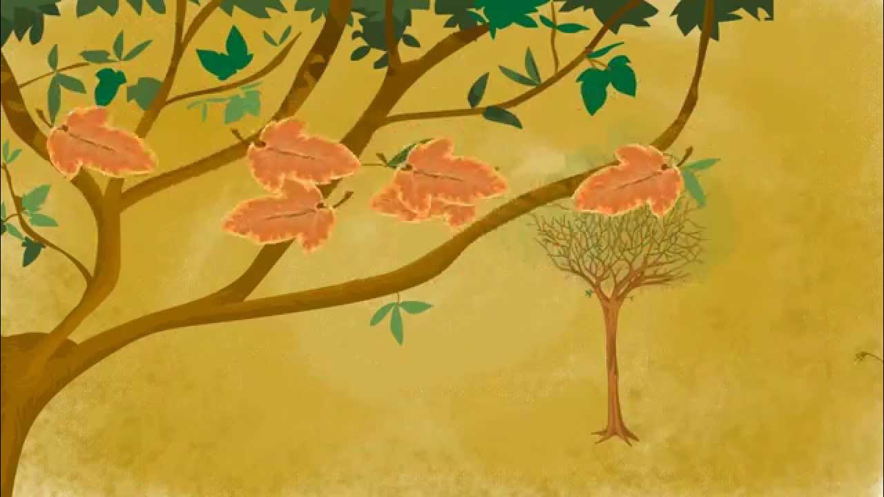 El otoño. Autumn. Song to learn the Seasons in Spanish for kids - YouTube