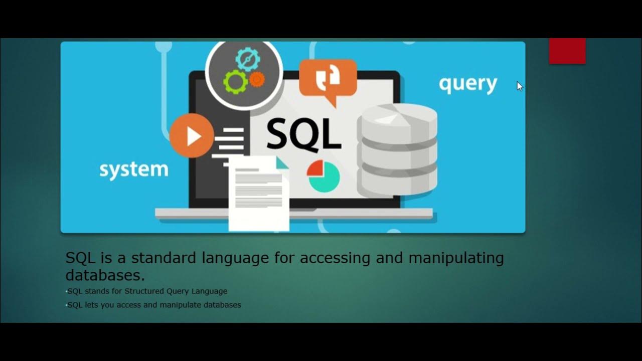 SQL tutorial for beginners | What is RDBMS | SQL statements | what is ...
