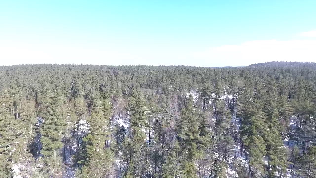Algonquin Park near the 40 km mark past Sand Lake gate entrance. - YouTube