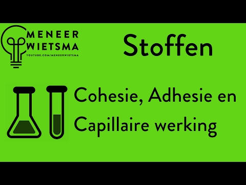 Natuurkunde uitleg Stoffen 8: Cohesie, Adhesie en Capillaire werking ...