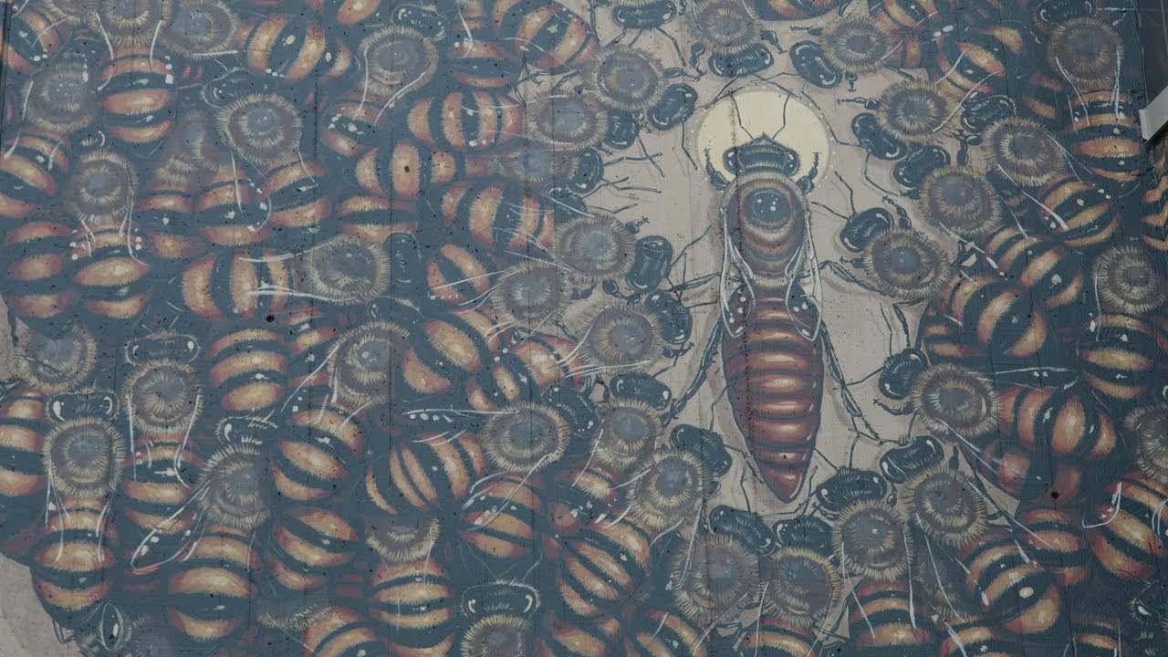 Honeybee Mural at the Smithsonian's National Zoo - YouTube
