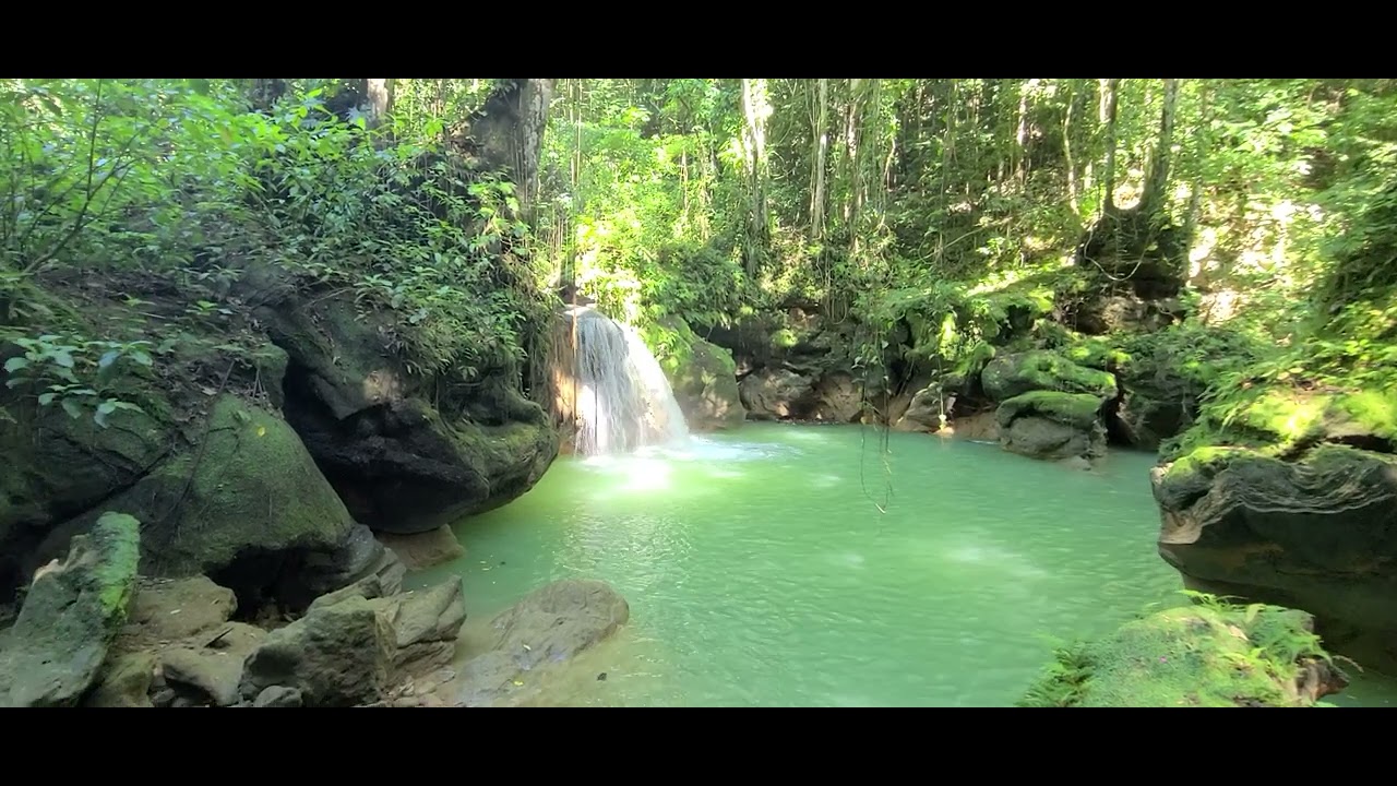 Breadnut Falls In St.Elizabeth, Jamaica🇯🇲 - YouTube