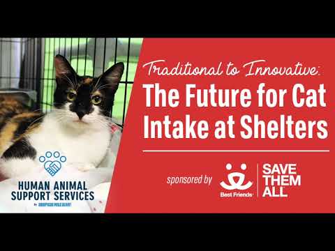 Traditional to Innovative: The Future for Cat Intake at Shelters ...