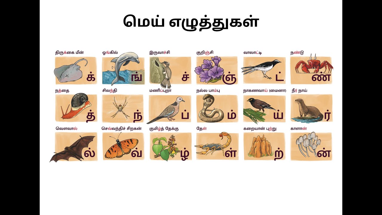 2. Consonants - Tamil Alphabet Chart - YouTube