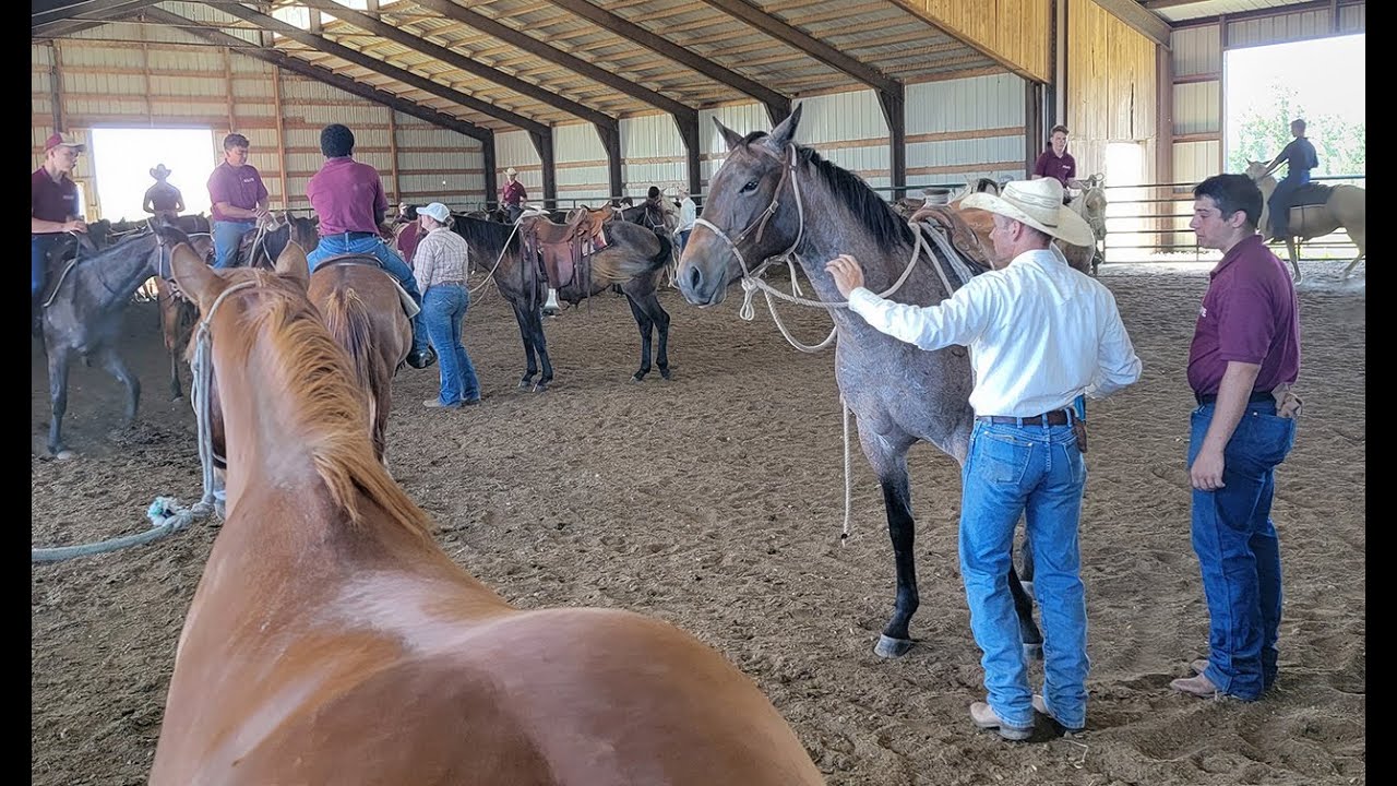 Why Agape Ranch, Stockton, Missouri? - YouTube