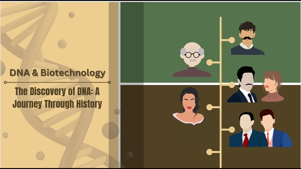 The Discovery of DNA: A Journey Through History - YouTube