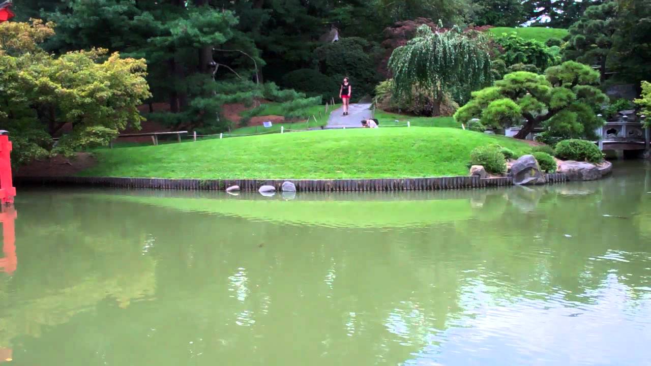 Koi Fish - Brooklyn Botanic Gardens - YouTube