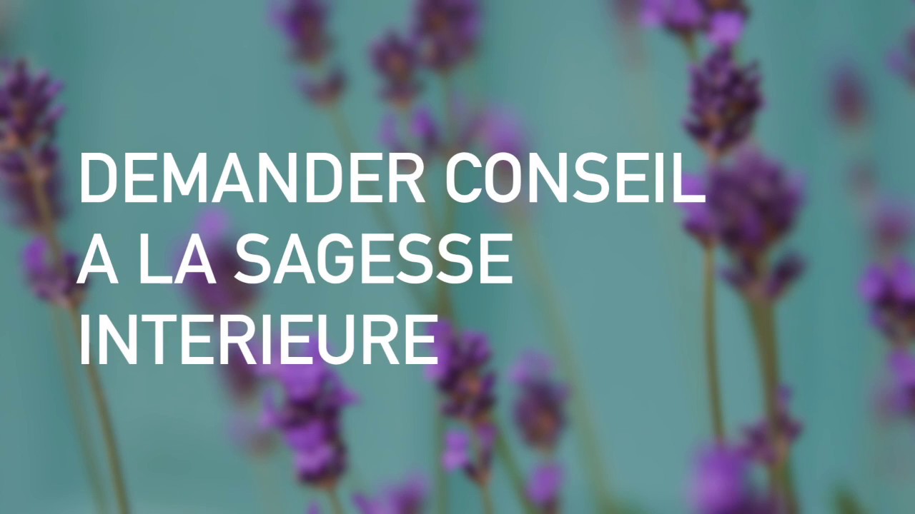 Méditation guidée - demander conseil à la sagesse intérieure Ginkgo ...