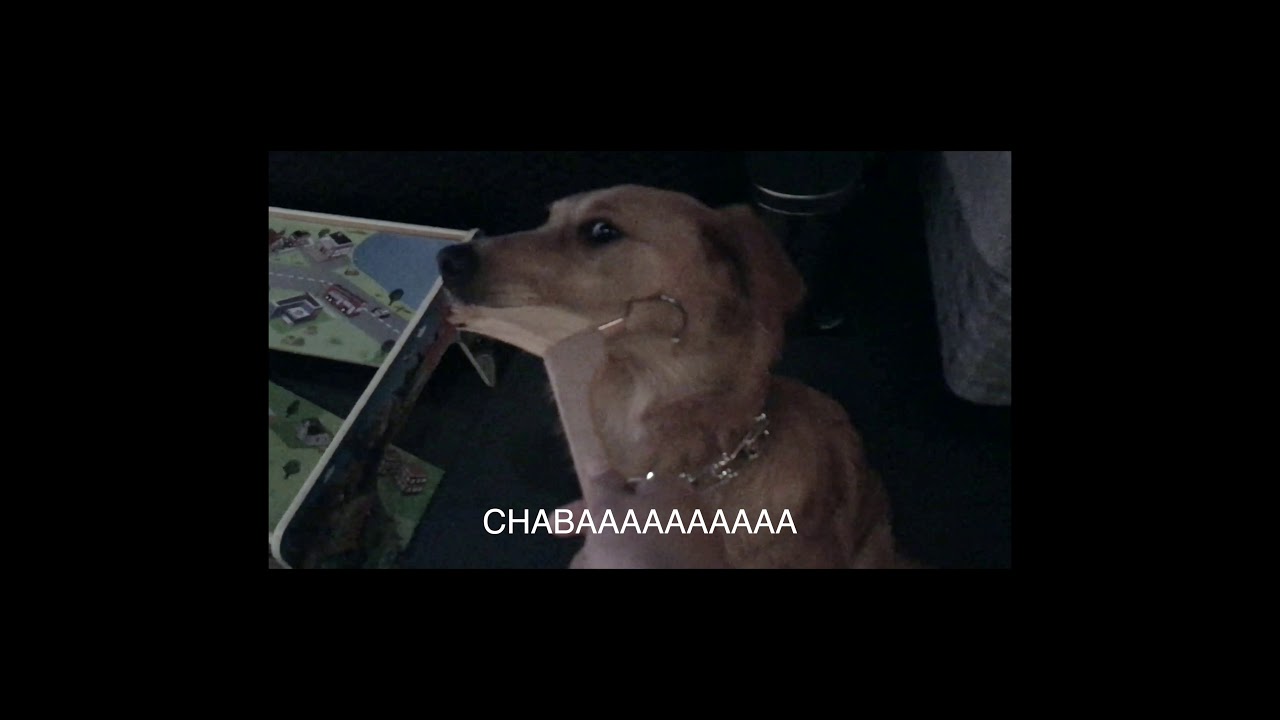 Chaba Youtube