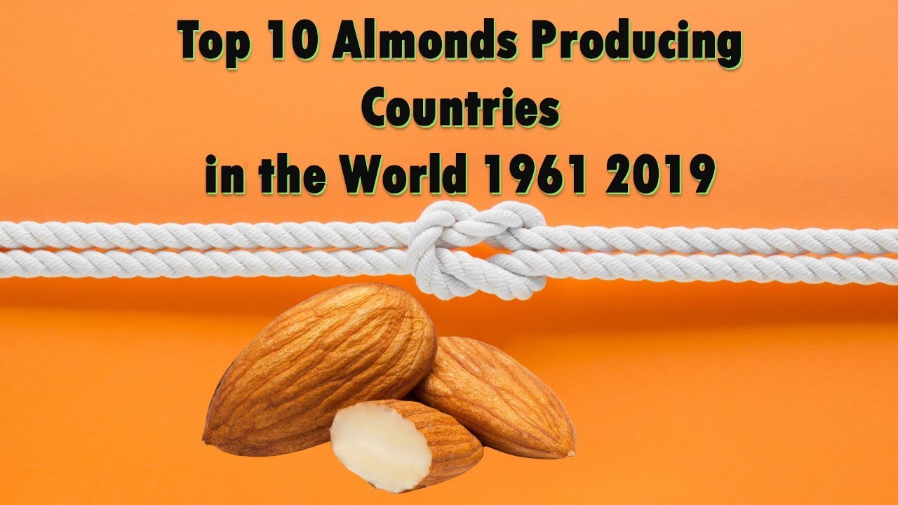 Almond Producing Countries || Top 10 Almonds Producing Countries in the ...