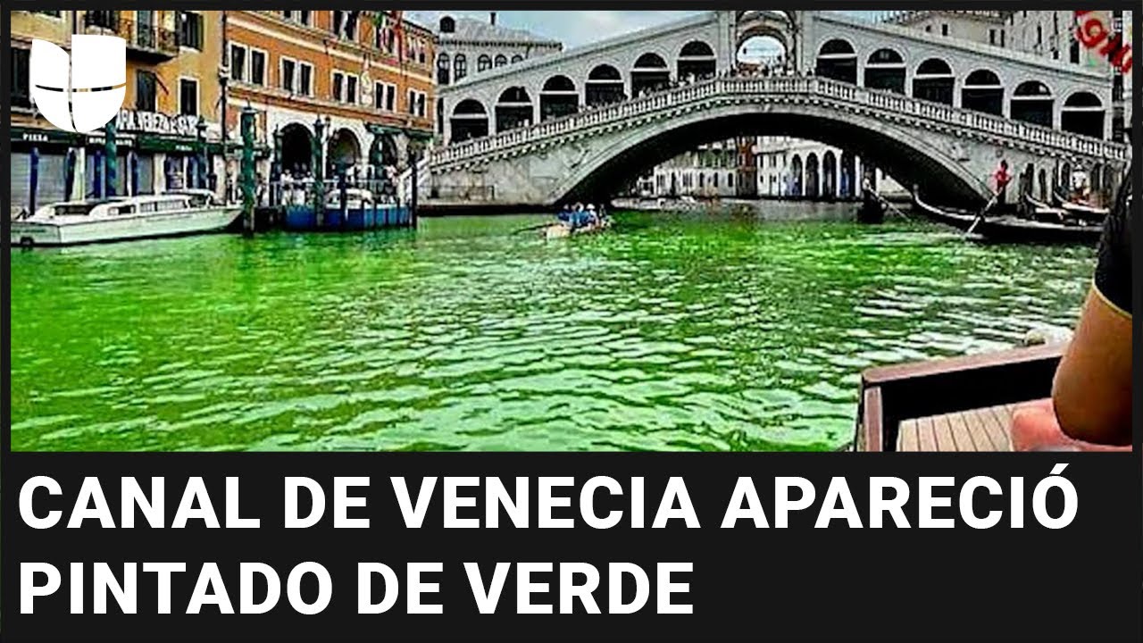 Así se ve el Gran Canal de Venecia pintado de verde - YouTube