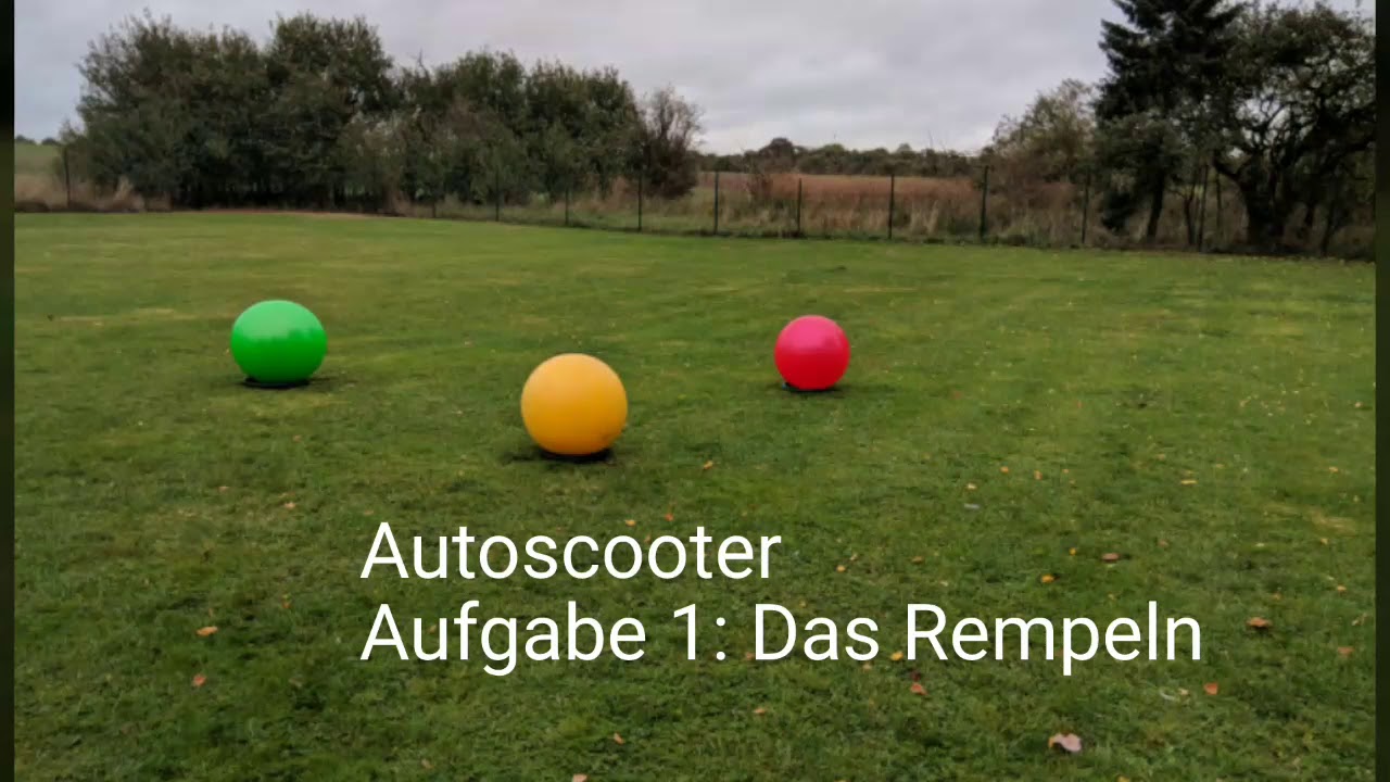 Treibball Challenge by Anja Jacob :Autoscooter - YouTube