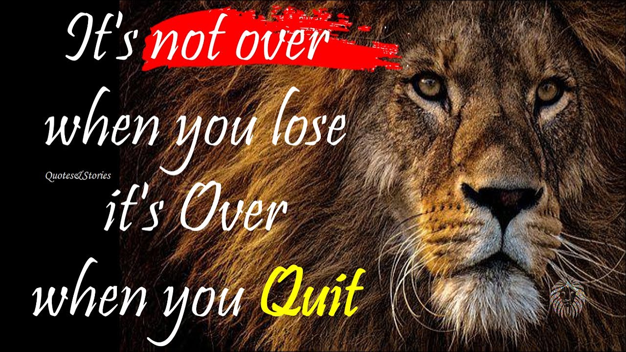 Wisdom Of The Lion - Powerful Motivational Video | The Power of Lion ...