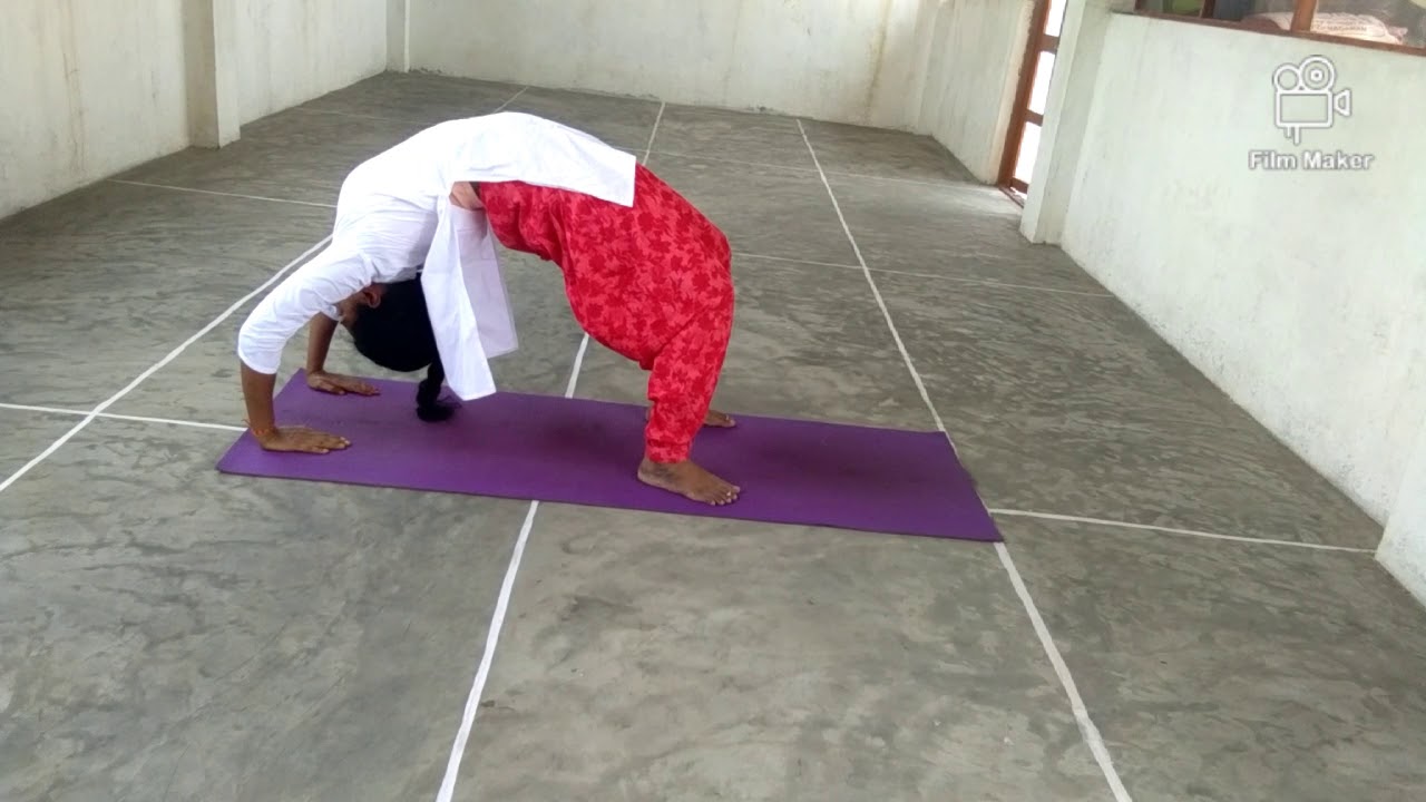 Asanas and techniques to learn by VYC part-2 - YouTube