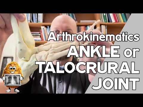 Ankle or Talocrural Joint (TCJ) Arthrokinematics - YouTube