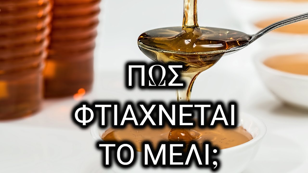 Πώς παράγεται το μέλι από τις μέλισσες - YouTube