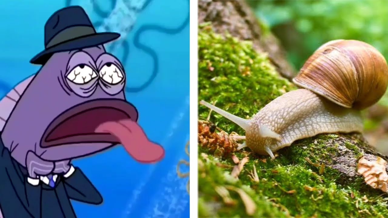 Makanan... (Meme Inspektur Kesehatan SpongeBob) - YouTube