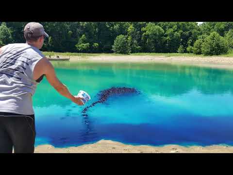 How To Make Your Pond Water Blue - Water Garden Advice