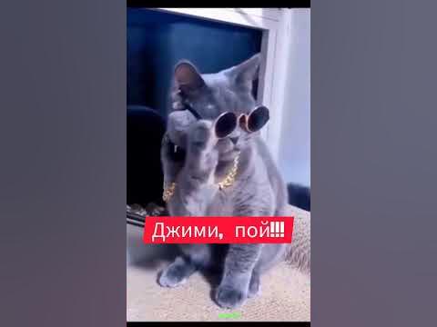 Джими, Джими...ача, ача...🤭 - YouTube