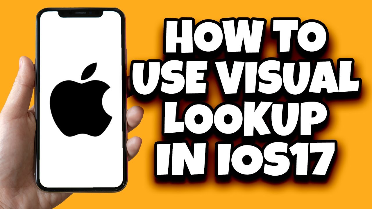 How To Use Visual Lookup On IOS 17 (Step By Step) - YouTube