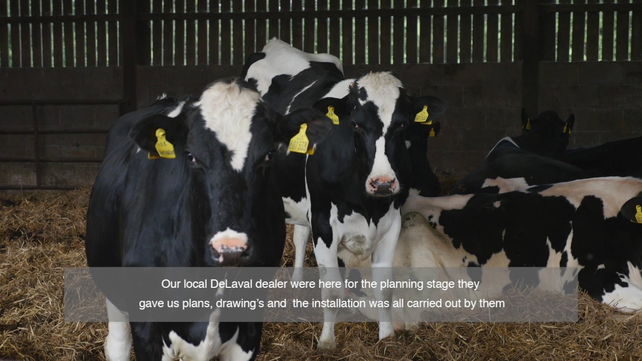 Our DeLaval Dealer Promo Video5 - YouTube