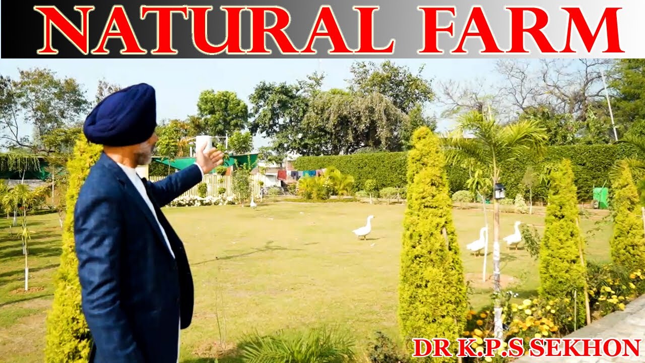 Natural Farm Dr. K.P.S Sekhon | Organic Farming | Organic Vegetables ...