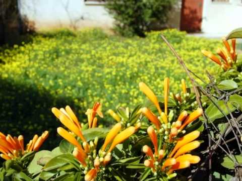 2014 İlahi Dinle  oruc ayı geldi yine ramazan 2014 İlahi Dinle