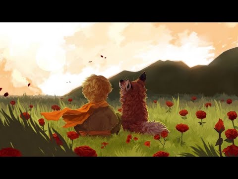 [시드POE2] CI스태킹MF몽크 매찬320% 맵핑 수입은??monk - YouTube