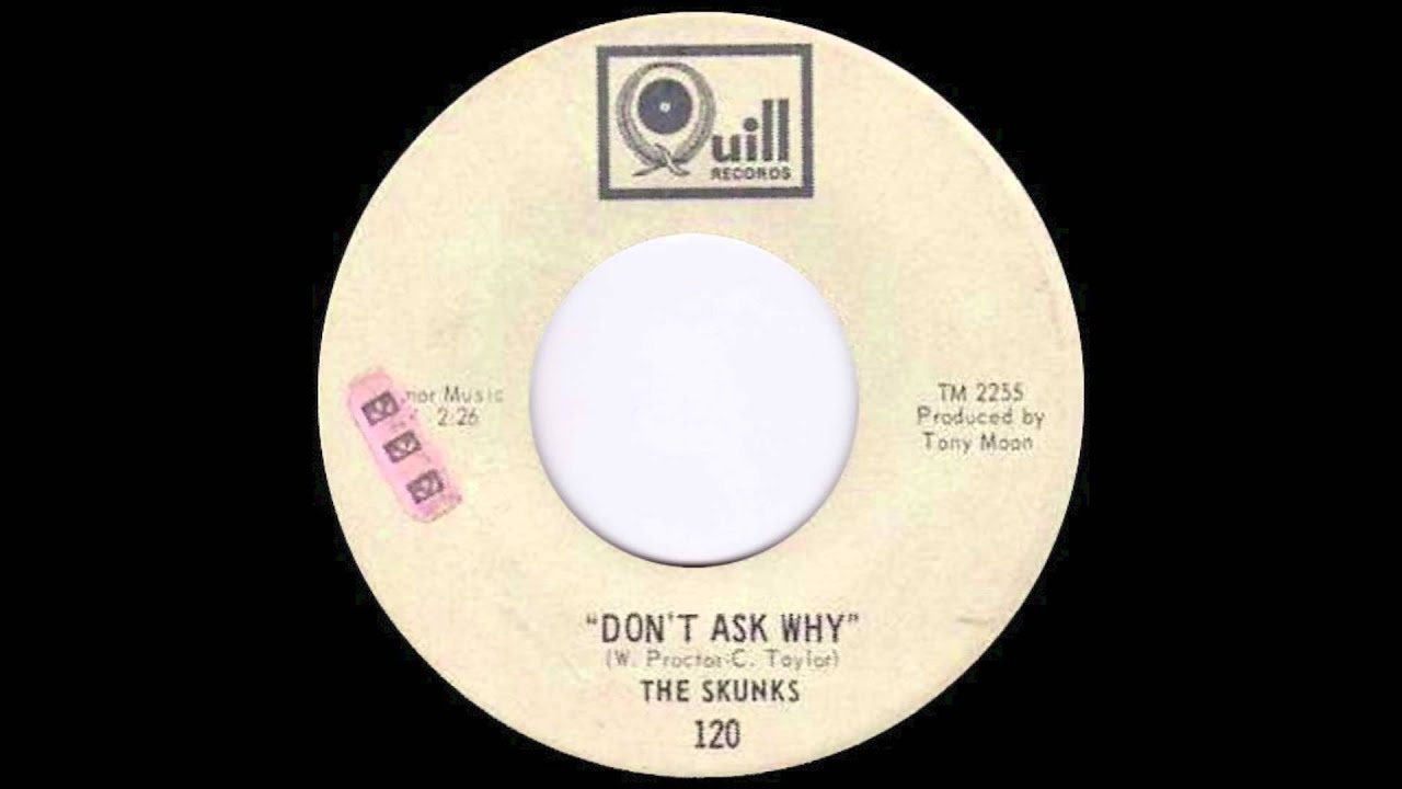 The Skunks - Don't Ask Why (1967) - YouTube