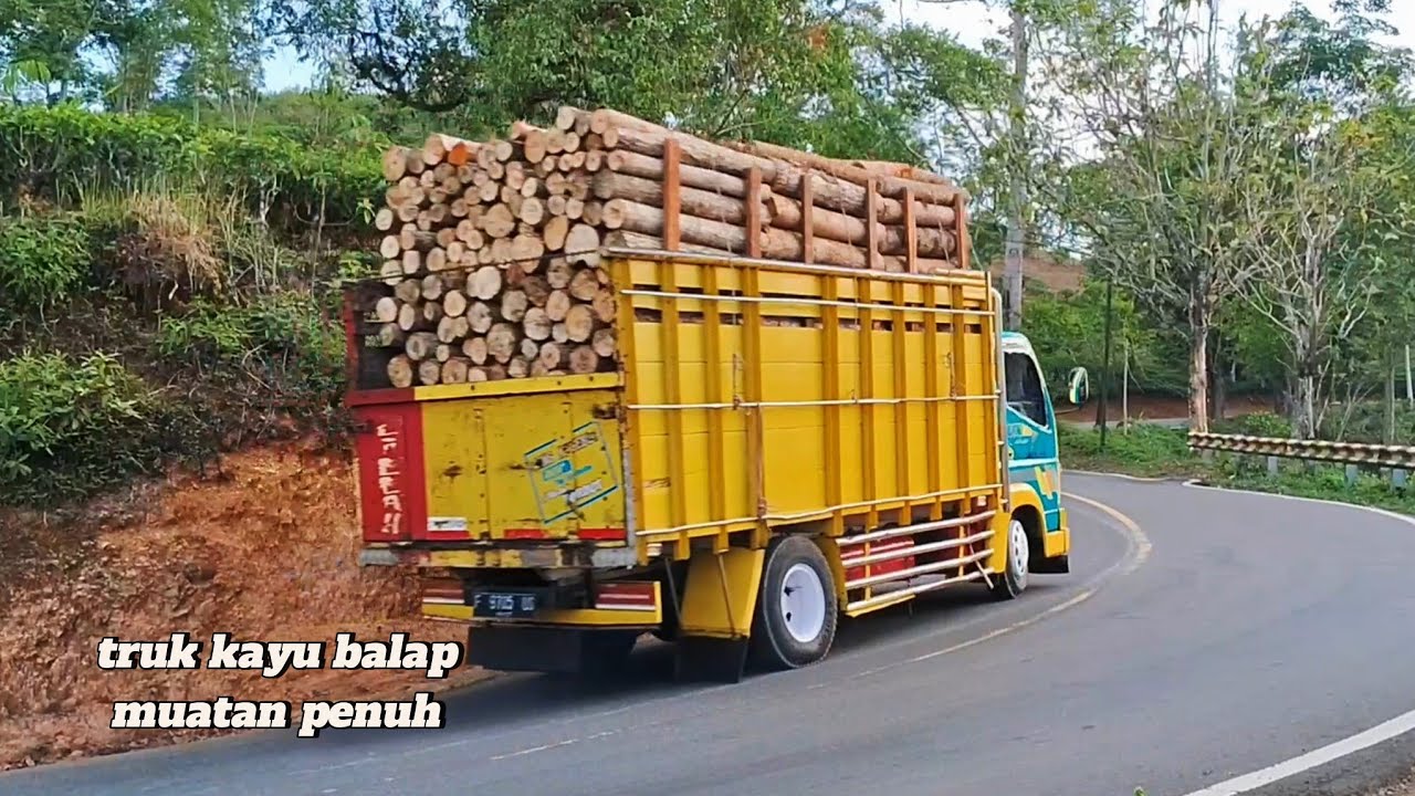 TRUK MUATAN KAYU TEREKSTRIM,MOBIL TRUK MUATAN PENUH - YouTube