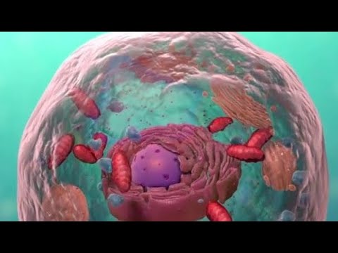 cell introduction..🧐🧐🧐#neet #short #revision - YouTube